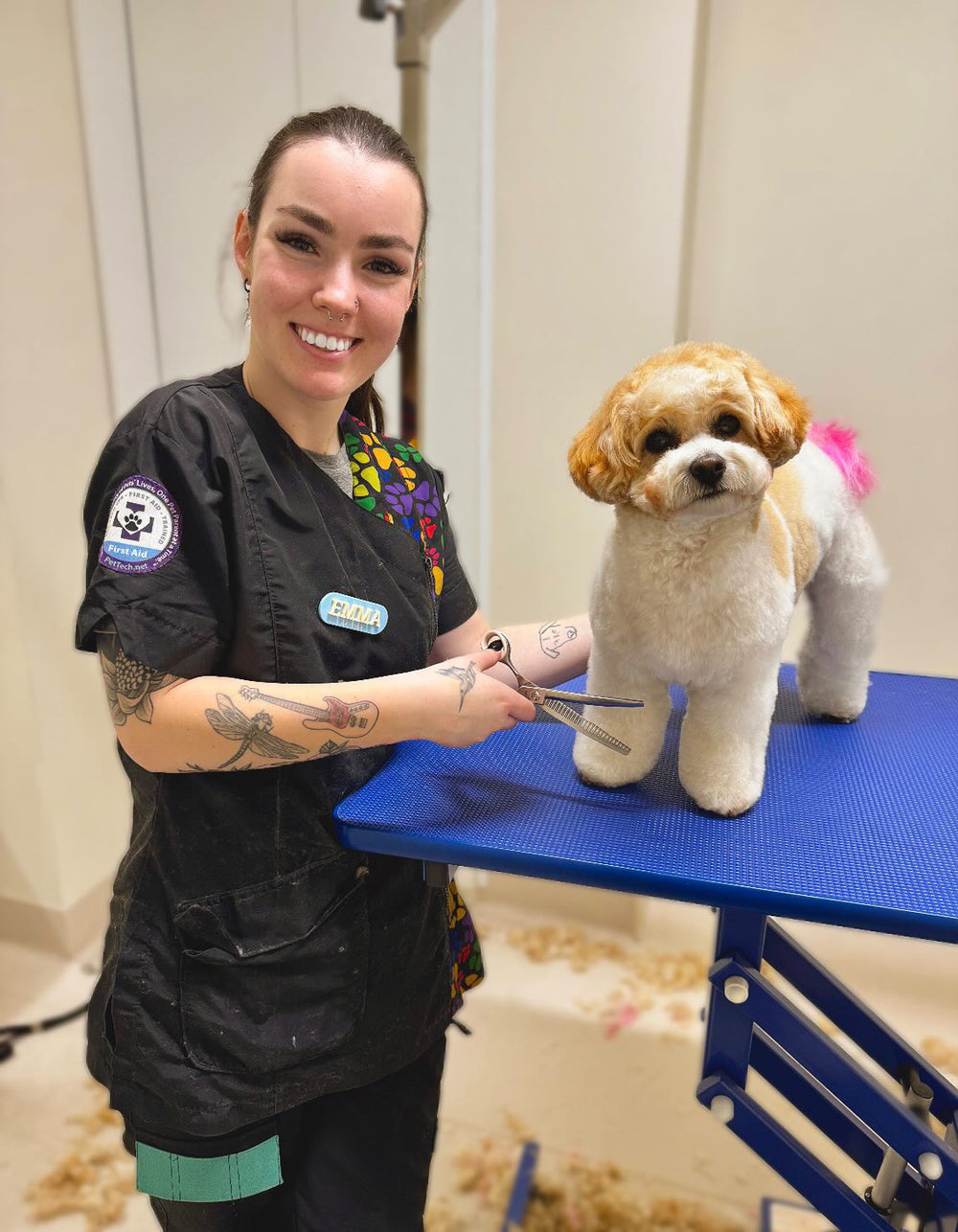 Discover Our Groomers' Favorite Scissors – MS Brand scissors Australia